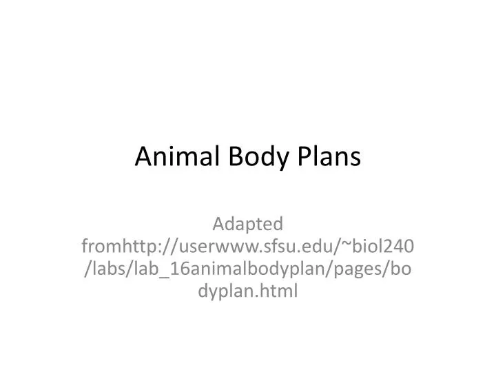 PPT - Animal Body Plans PowerPoint Presentation, free download - ID:2028044