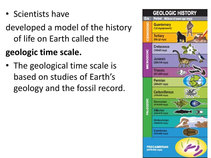 PPT - Scientists have developed a model of the history of life on Earth ...