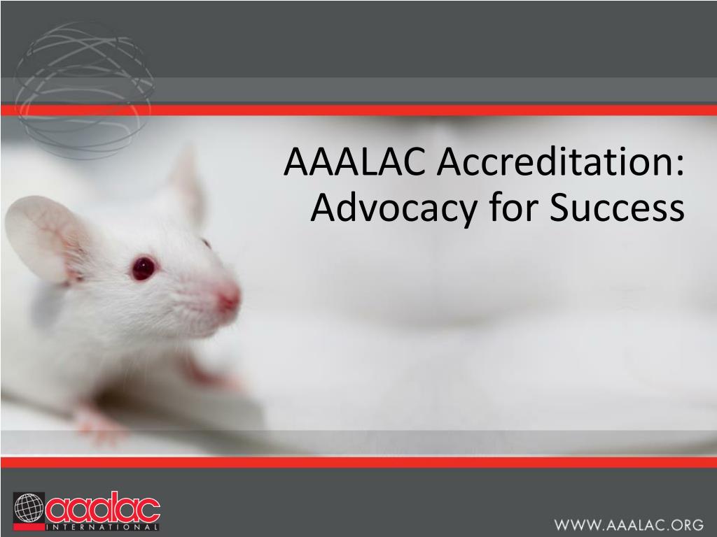 PPT - AAALAC Accreditation: Advocacy for Success PowerPoint ...