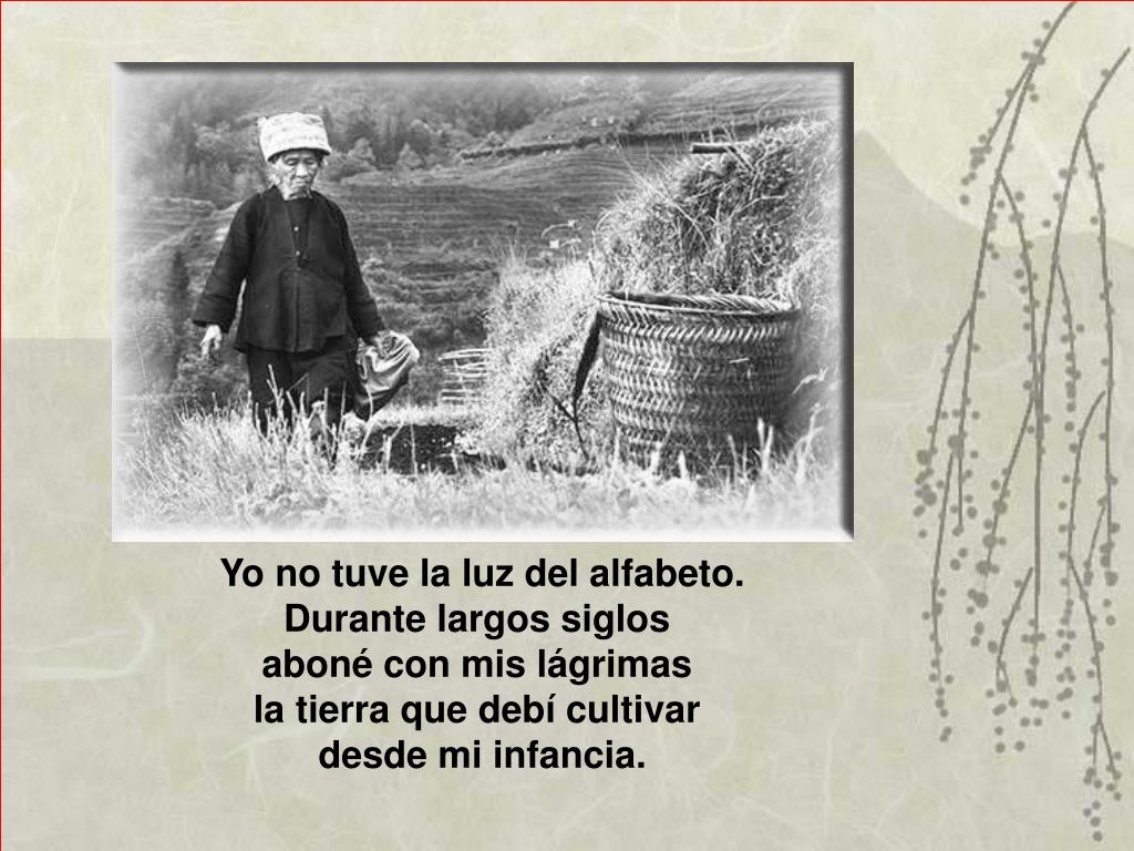 PPT - POR LOS DERECHOS FUNDAMENTALES DE LA MUJER PowerPoint ...