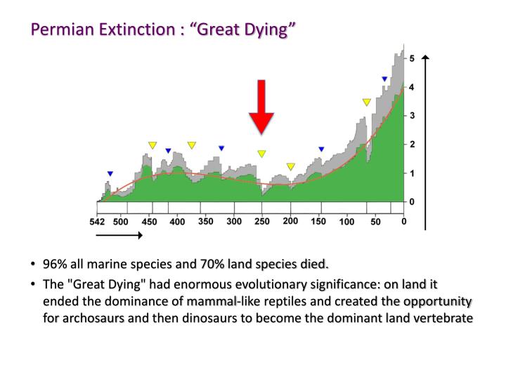 PPT - Mass Extinction PowerPoint Presentation - ID:2028703