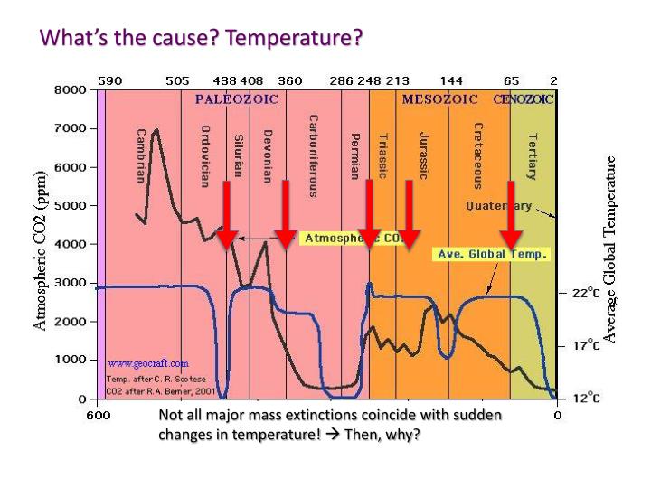 PPT - Mass Extinction PowerPoint Presentation - ID:2028703