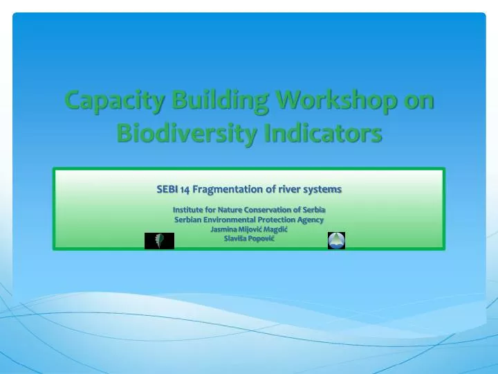 PPT - Capacity Building Workshop on Biodiversity Indicators PowerPoint ...