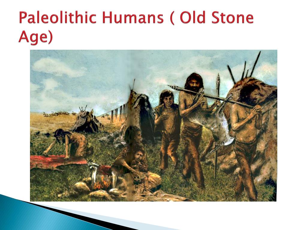 PPT - Human Origins in Africa PowerPoint Presentation, free download ...
