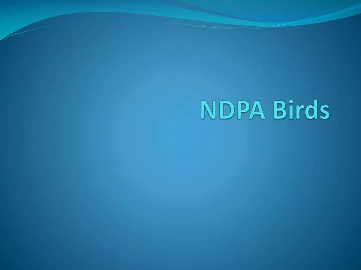 PPT - NDPA Birds PowerPoint Presentation, free download - ID:2028781