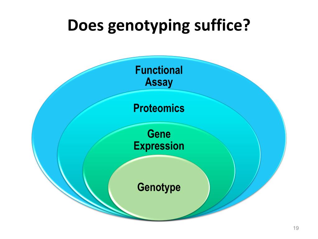 PPT - Drug Metabolizing Enzyme Genotype(s) and Chemotherapeutic Outcome ...