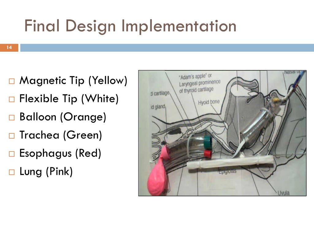 PPT - Magnetic and articulating (MNA) Bougie assisted breathing tube ...