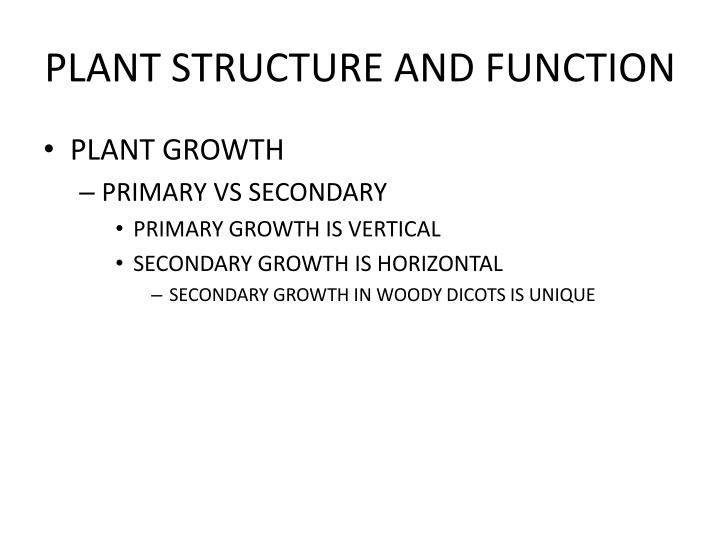 PPT - PLANT STRUCTURE AND FUNCTION (THE LAST CHAPTER!!) PowerPoint ...