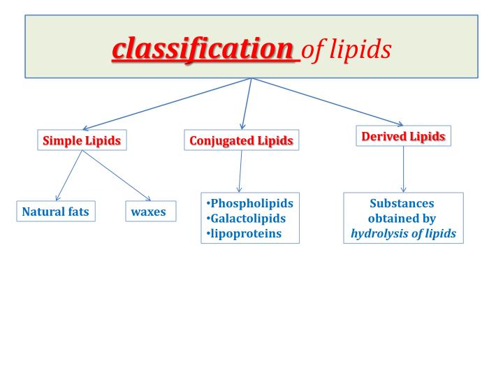 PPT - Introduction to Lipids PowerPoint Presentation - ID:2029622