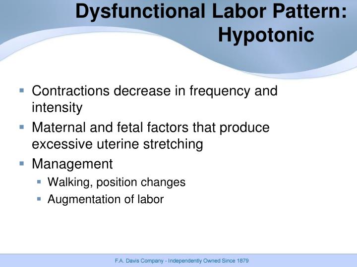 PPT - Chapter 12--Processes & Stages of Labor and Birth PowerPoint ...