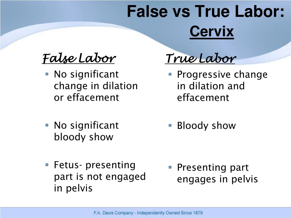 Ppt Chapter 12 Processes And Stages Of Labor And Birth Powerpoint