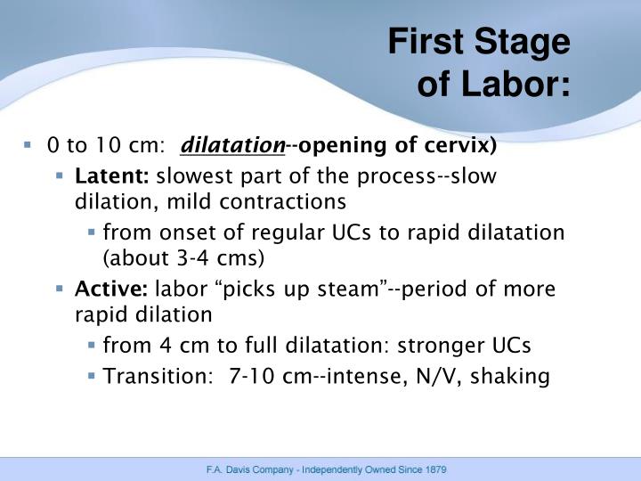Ppt Chapter 12 Processes And Stages Of Labor And Birth Powerpoint