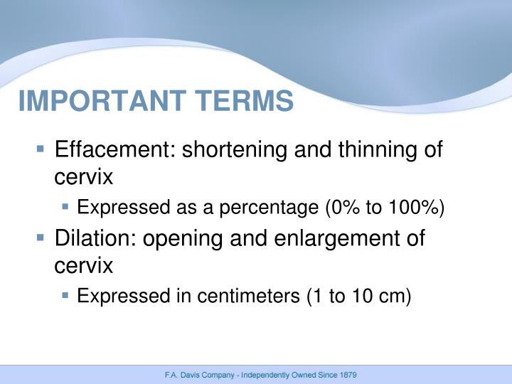 PPT - Chapter 12--Processes & Stages of Labor and Birth PowerPoint ...