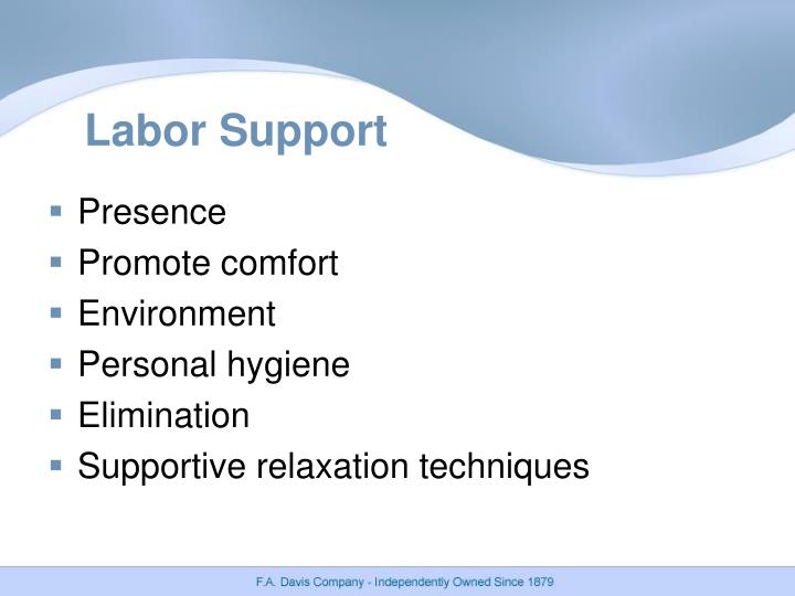 Ppt Chapter 12 Processes And Stages Of Labor And Birth Powerpoint