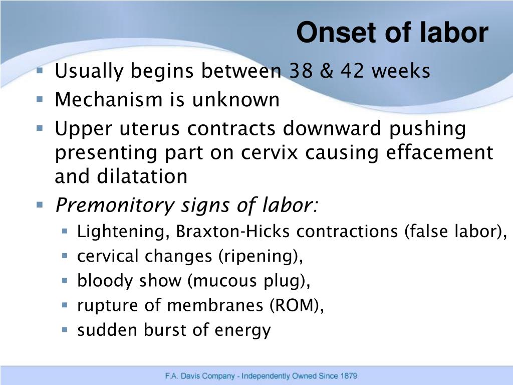 Ppt Chapter 12 Processes And Stages Of Labor And Birth Powerpoint