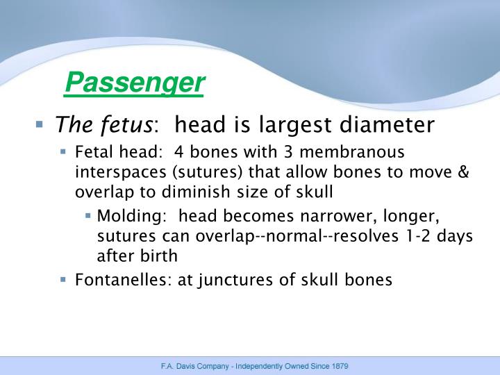 Ppt Chapter 12 Processes And Stages Of Labor And Birth Powerpoint