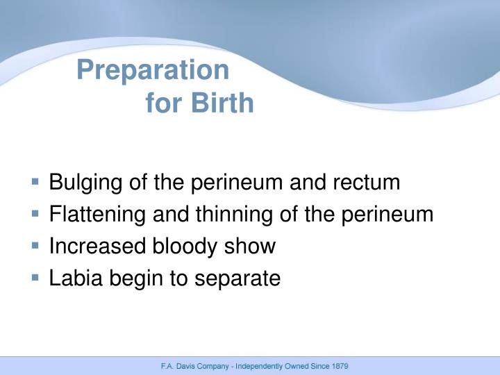 Ppt Chapter 12 Processes And Stages Of Labor And Birth Powerpoint