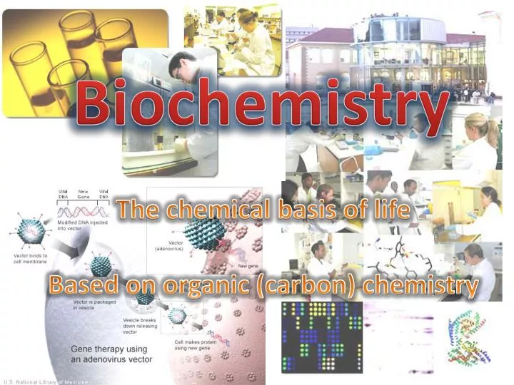 PPT - Biochemistry PowerPoint Presentation, free download - ID:2029940