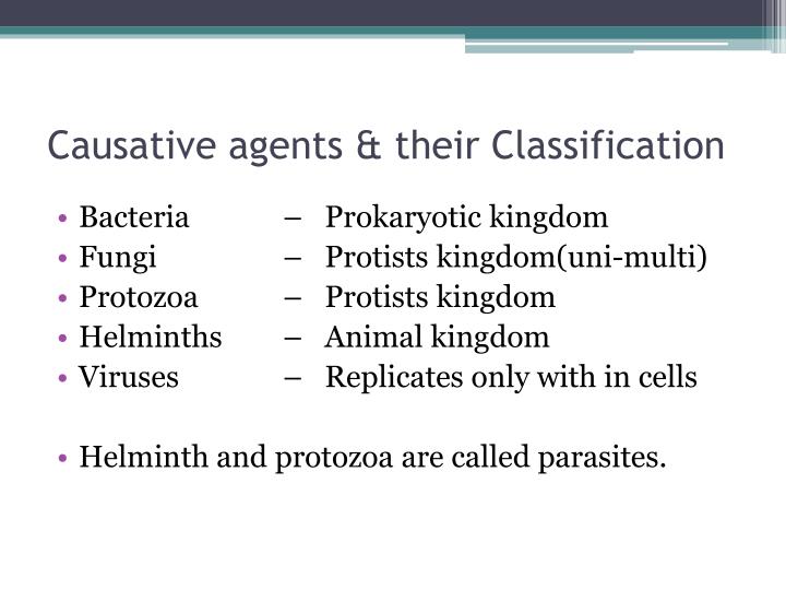 PPT - Bacteria & other Microorganisms PowerPoint Presentation - ID:2029947