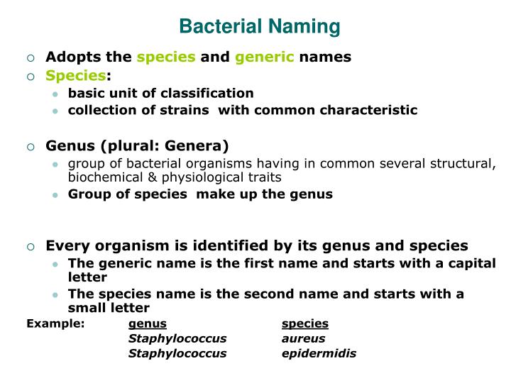 PPT - Introduction: The microbial world, Classification, Taxonomy ...