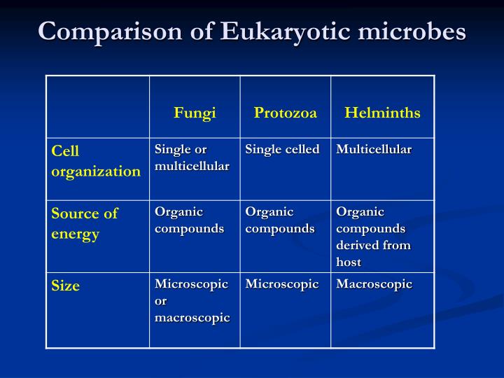 PPT - Introduction: The microbial world, Classification, Taxonomy ...