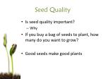 PPT - Seed Germination PowerPoint Presentation - ID:2030151