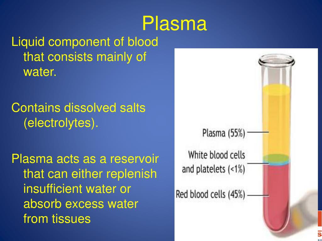 PPT - KNEE INJURIES IN SPORTS MEDICINE PowerPoint Presentation, free ...