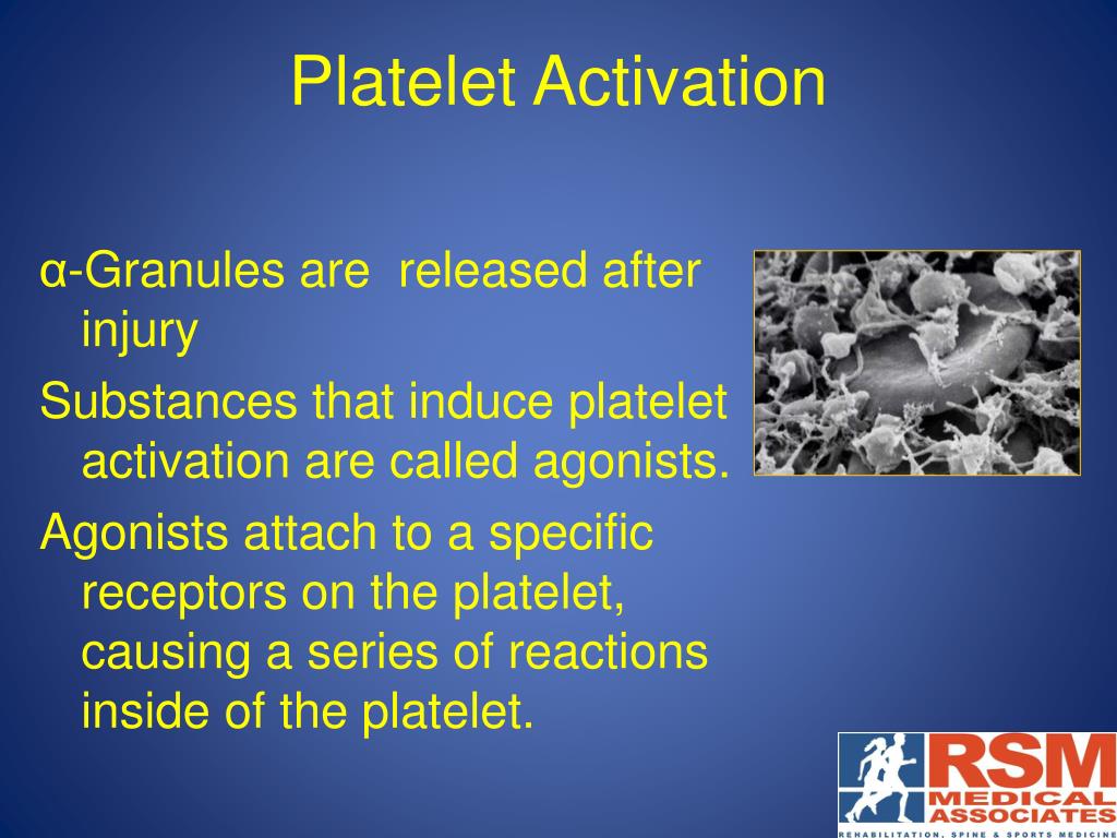 PPT - KNEE INJURIES IN SPORTS MEDICINE PowerPoint Presentation, free ...