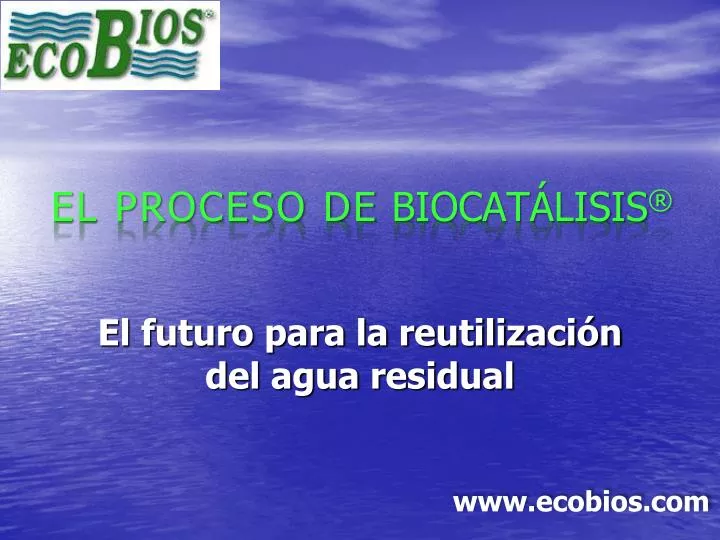 PPT - EL PROCESO DE BIOCATÁLISIS ® PowerPoint Presentation, free ...