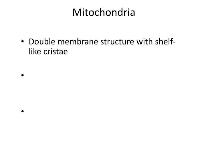 PPT - Mitochondria PowerPoint Presentation, free download - ID:2030727