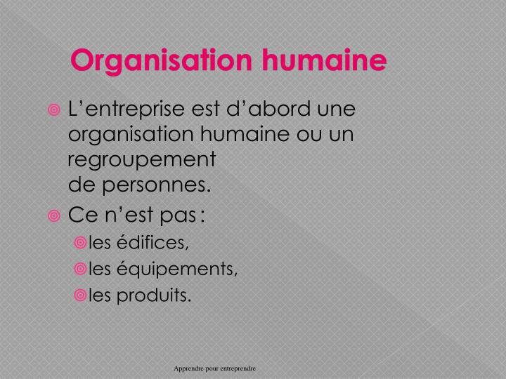 PPT - ORGANISATION D’ENTREPRISE PowerPoint Presentation - ID:2030842