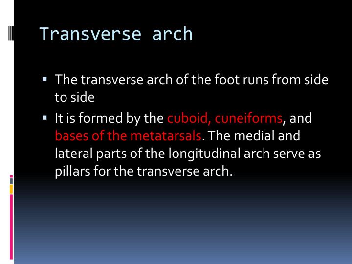 PPT - Joints of the Lower Limb PowerPoint Presentation - ID:2031030