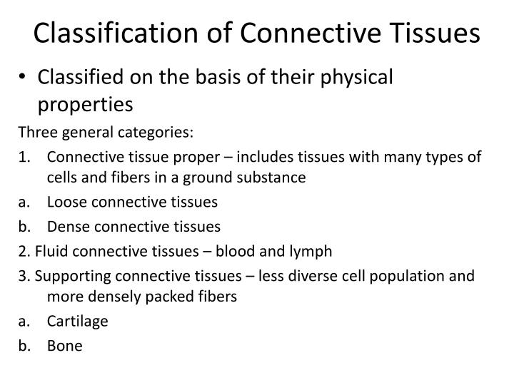PPT - Connective Tissues PowerPoint Presentation - ID:2031032