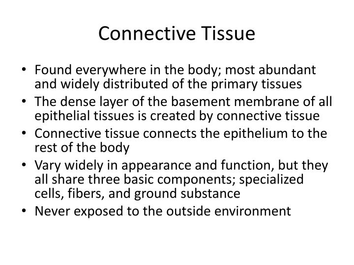 PPT - Connective Tissues PowerPoint Presentation - ID:2031032
