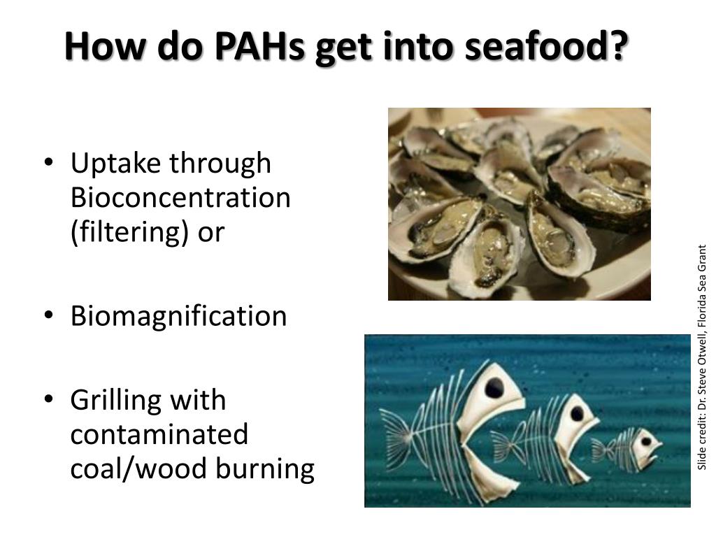 PPT - Deepwater Horizon Oil Spill, Fisheries, Seafood, and Wildlife ...
