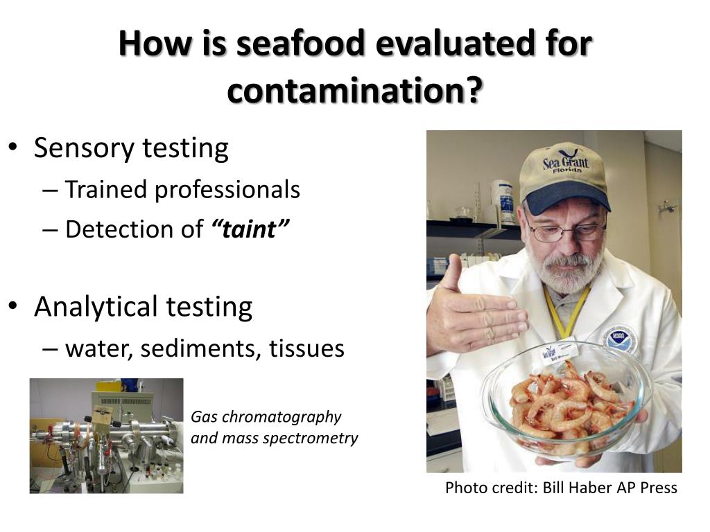 PPT - Deepwater Horizon Oil Spill, Fisheries, Seafood, and Wildlife ...