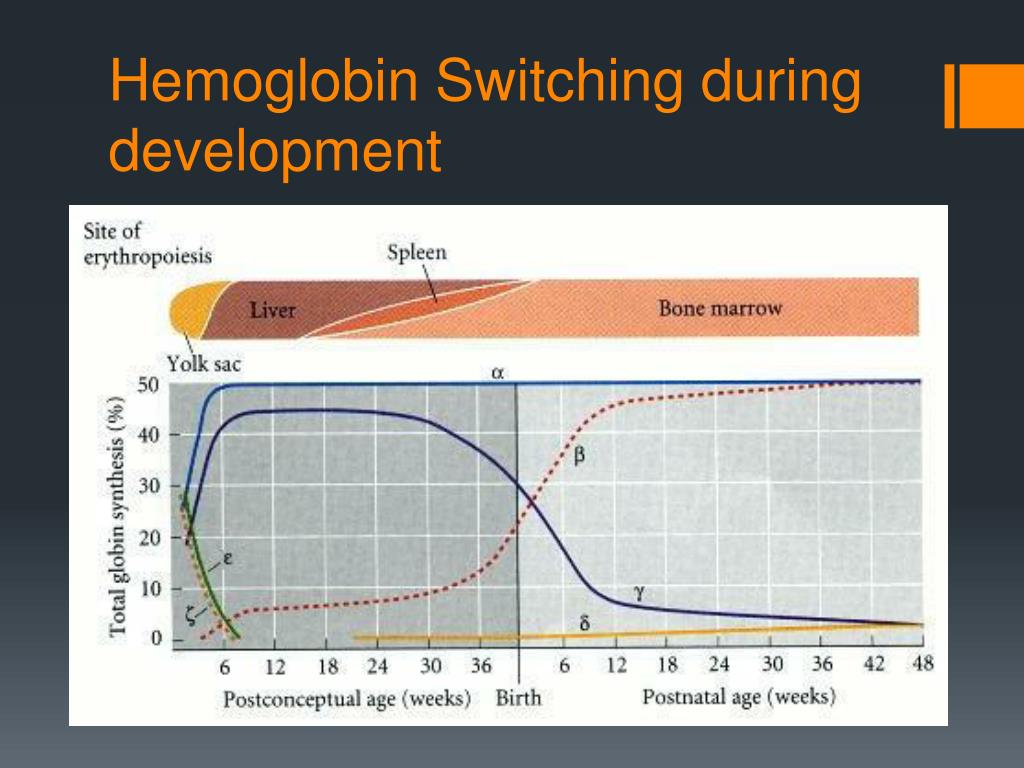 PPT - Neonatal Hematology for the Primary Care Physician PowerPoint ...
