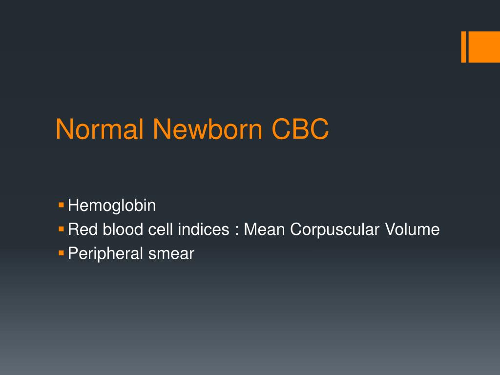 PPT - Neonatal Hematology for the Primary Care Physician PowerPoint ...