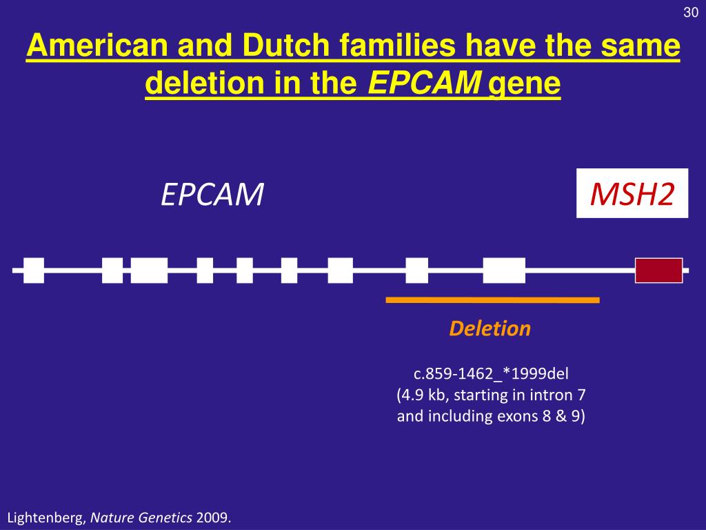PPT - UPDATE OF LYNCH SYNDROME(LS):GENETICS, NATURAL HISTORY ...