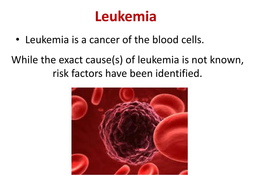 Ppt Leukemia Powerpoint Presentation Free Download Id 2031670