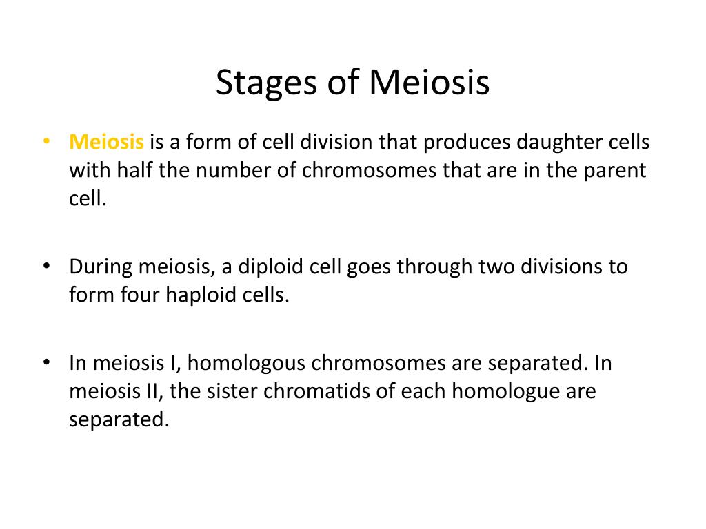 Ppt Chapter 11 Meiosis And Sexual Reproduction Powerpoint