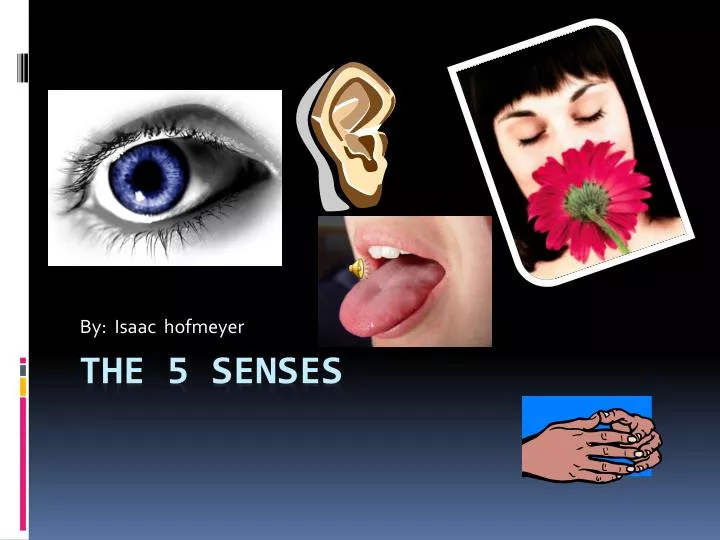 PPT - The 5 senses PowerPoint Presentation, free download - ID:2031968
