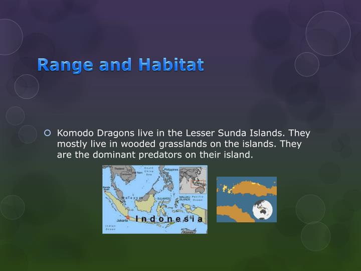 PPT - Komodo dragon PowerPoint Presentation - ID:2032154