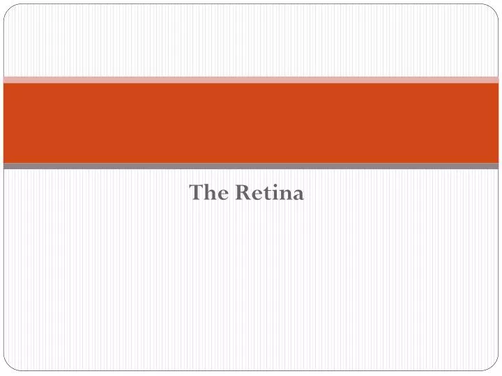 PPT - The Retina PowerPoint Presentation, free download - ID:2032486