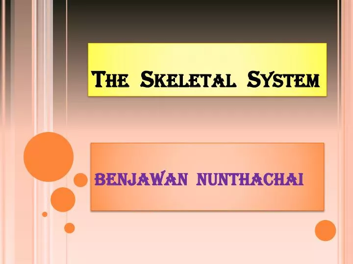 PPT - The Skeletal System PowerPoint Presentation, free download - ID ...