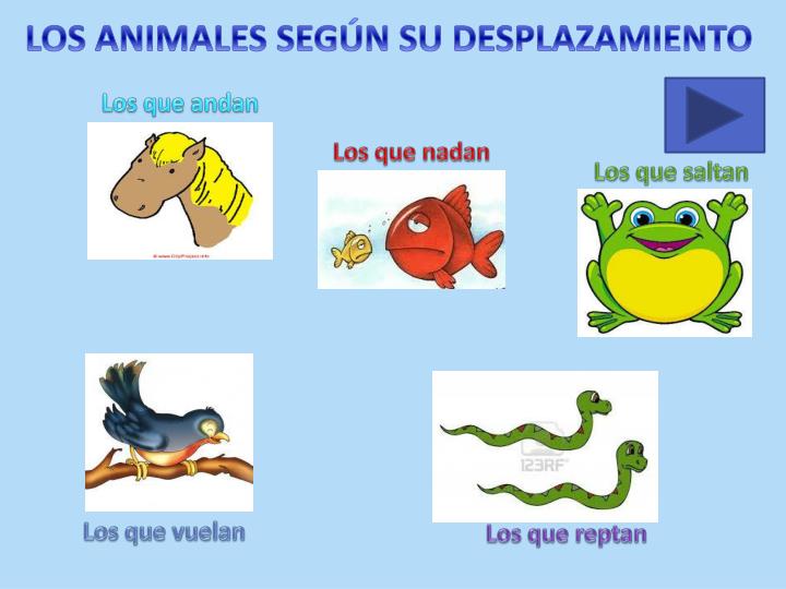Ppt Los Animales Powerpoint Presentation Id 2033069