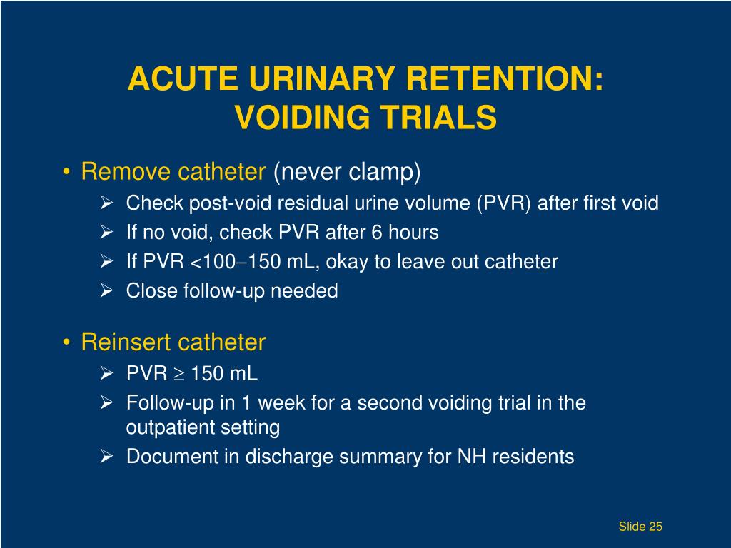 PPT - THE AMERICAN GERIATRICS SOCIETY Geriatrics Health Professionals ...