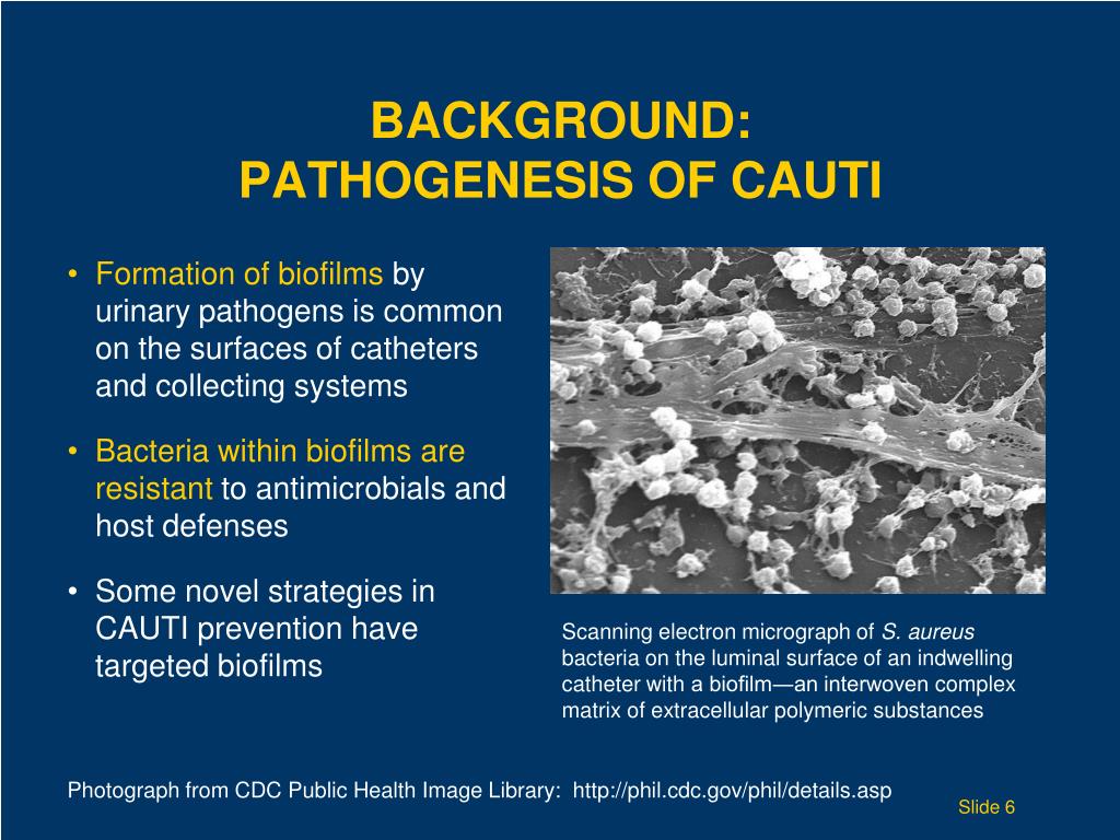 PPT - THE AMERICAN GERIATRICS SOCIETY Geriatrics Health Professionals ...