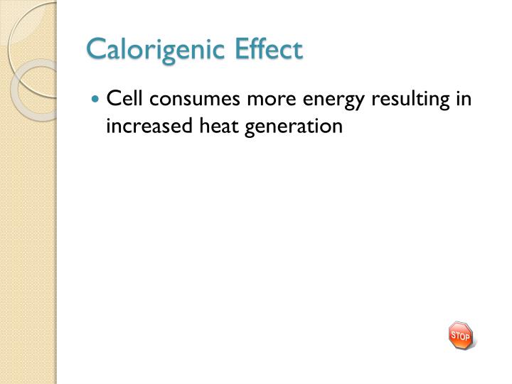 PPT - Chapter 18: The Endocrine System PowerPoint Presentation - ID:2033158
