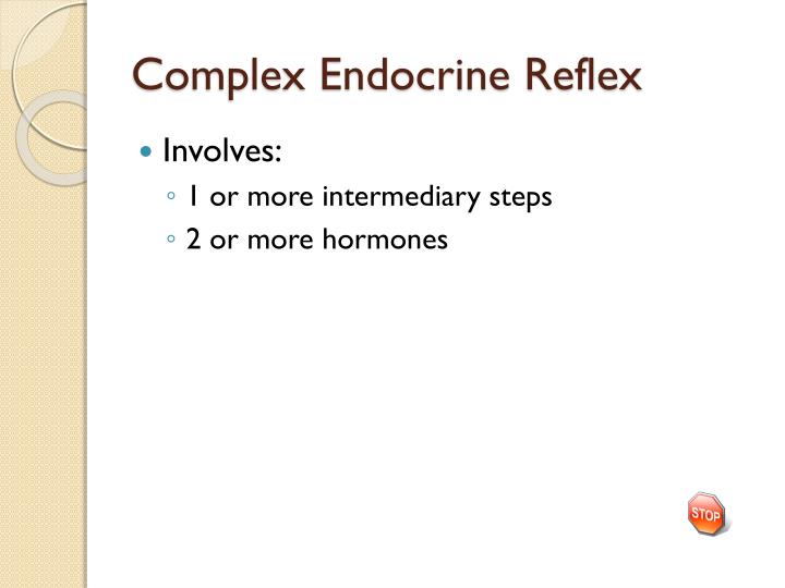 PPT - Chapter 18: The Endocrine System PowerPoint Presentation - ID:2033158